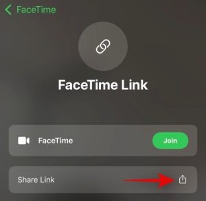 如何与 Windows 用户进行 Facetime：完整的分步指南-Win 11系统之家