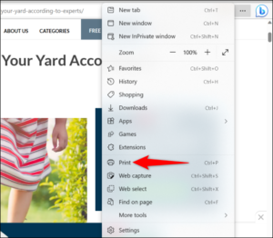 如何在 Windows 11 上打印到 PDF-Win 11系统之家