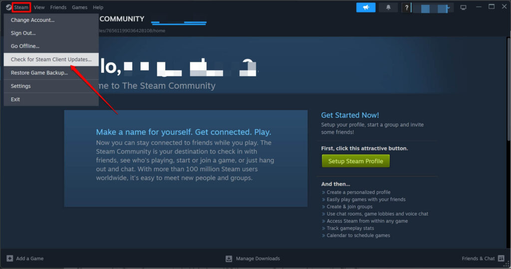 如何修复语音聊天在 Windows 版 Steam 中不起作用的问题？-Win 11系统之家